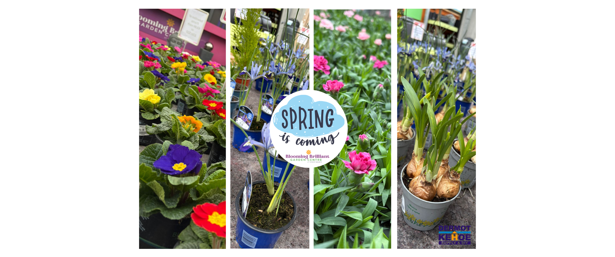 Dermot Kehoes Homevalue - New Ross – Dermot Kehoe Supply & DIY Homevalue